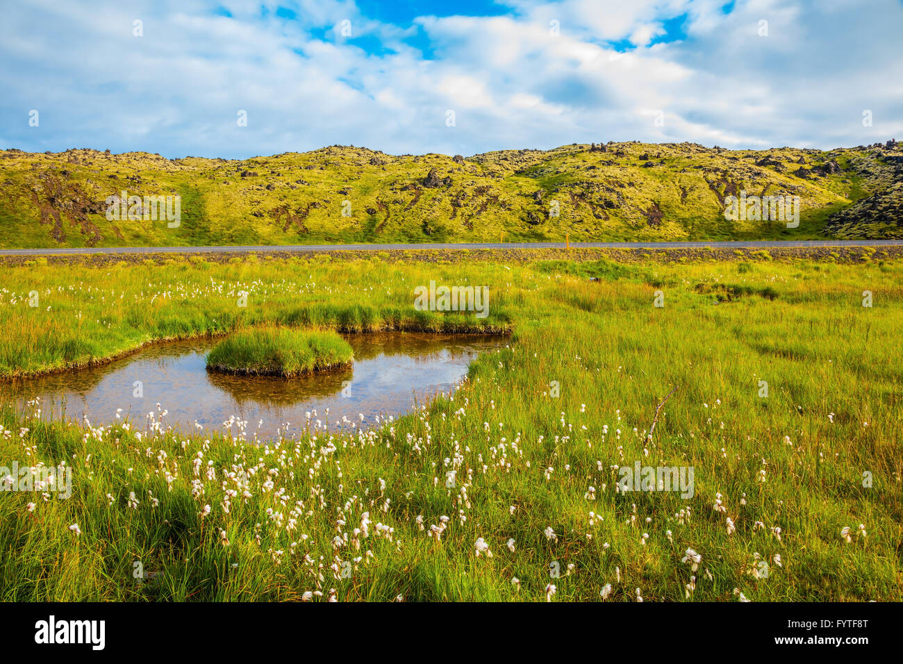 Thermal water small pond hi-res stock photography and images - Alamy
