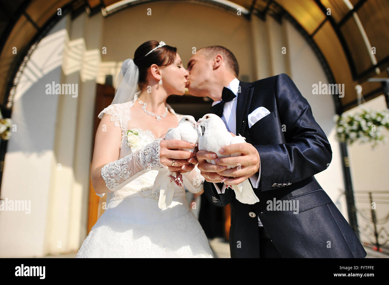 Symbols doves hi-res stock photography and images - Alamy Symbols doves hi-res stock photography and images - Alamy