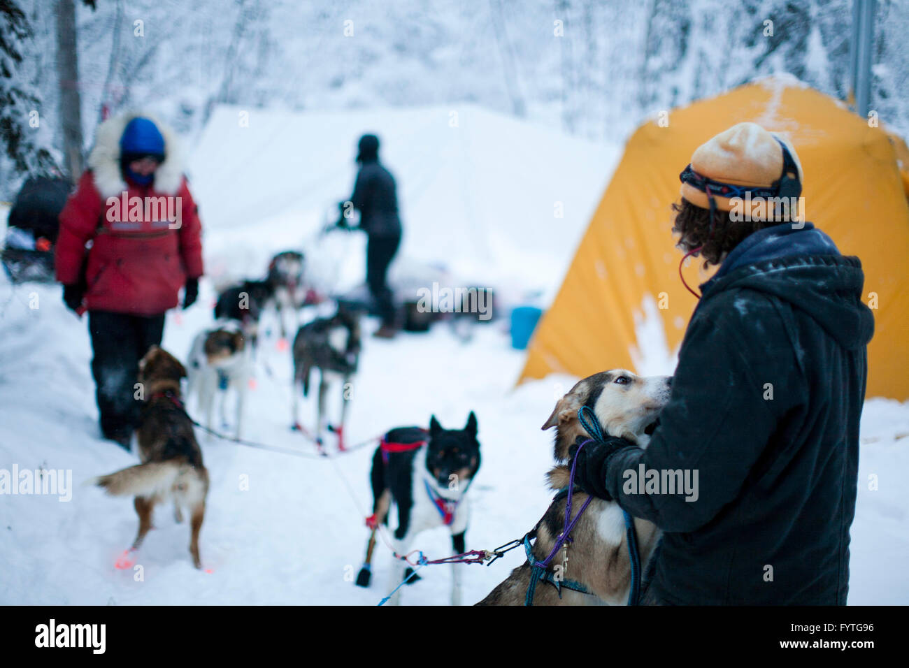 The Yukon Quest International Sled Dog Race is considerate by some to ...