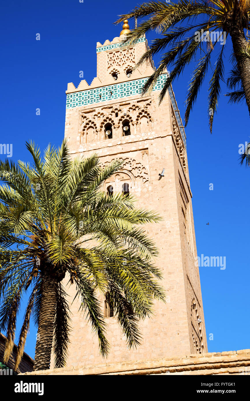 History in maroc palm hi-res stock photography and images - Alamy