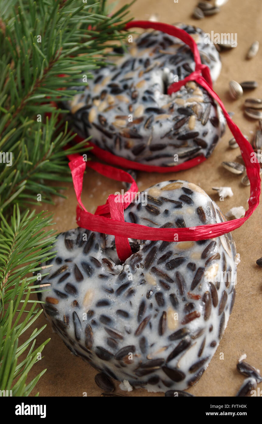 Depending on bird seed hi-res stock photography and images - Alamy