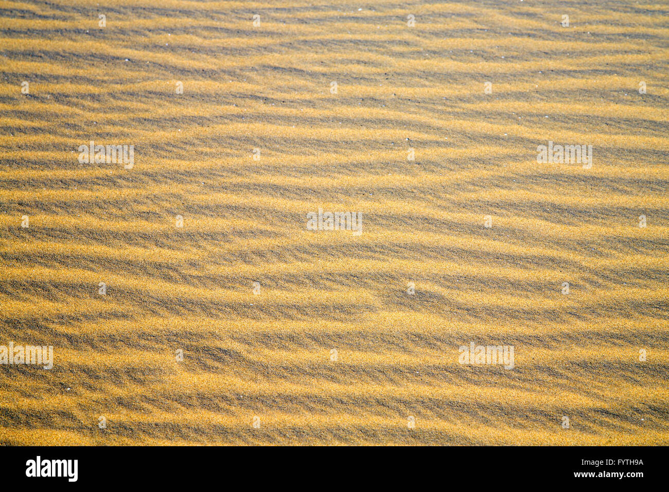 africa sand dune in sahara Stock Photo - Alamy