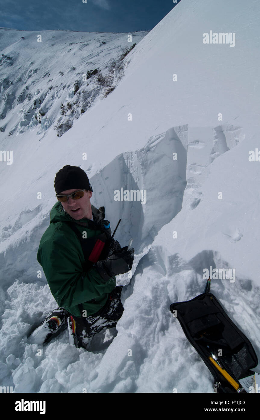 USFS avalanche forecaster digging a snow pit to inspect snow pack ...
