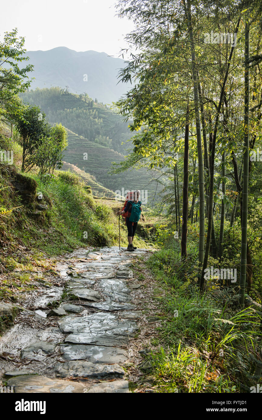 Jinkeng hi-res stock photography and images - Alamy