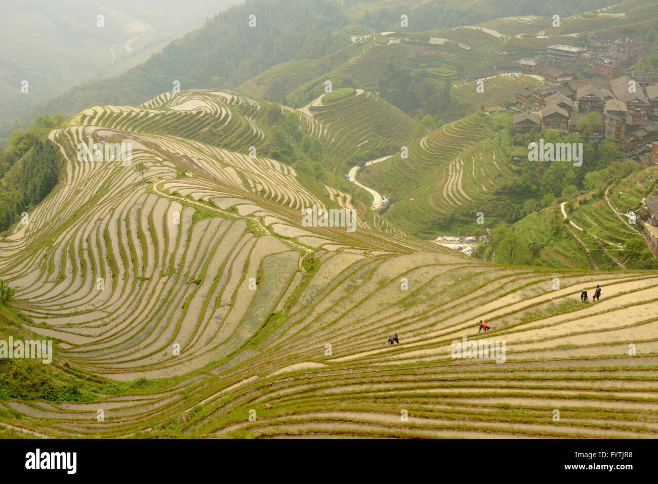 The stunning rice terraces of Ping'an in Longji, Guangxi Autonomous ...