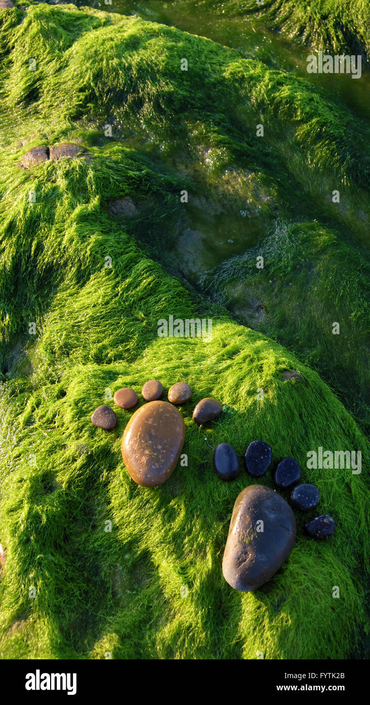 Couple of foot by pebble on green seaweed background, amazing concept ...