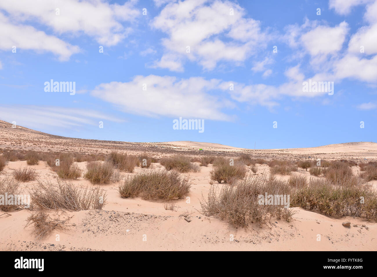 Dry Desert Landscape Stock Photo - Alamy