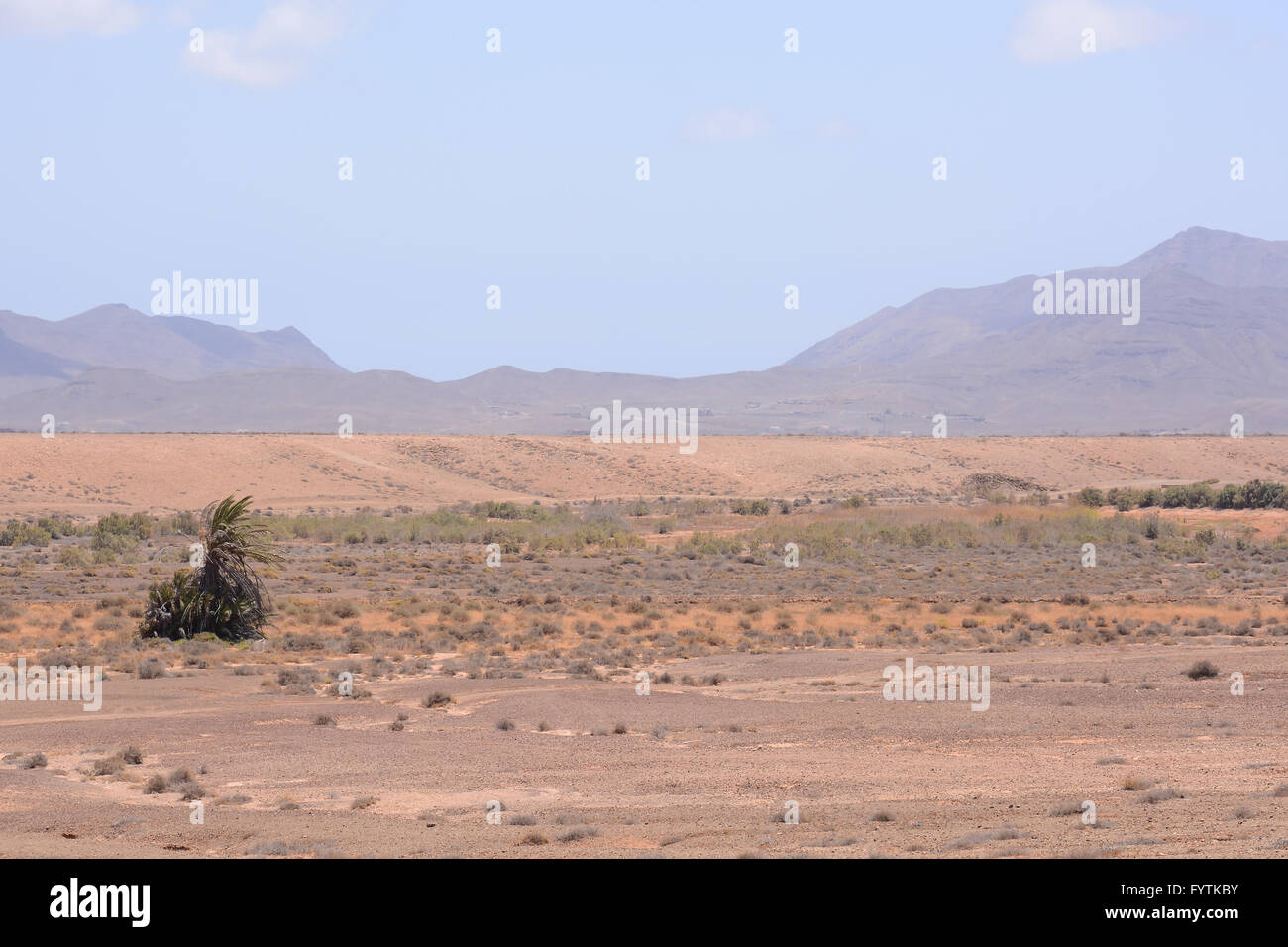 Dry Desert Landscape Stock Photo - Alamy