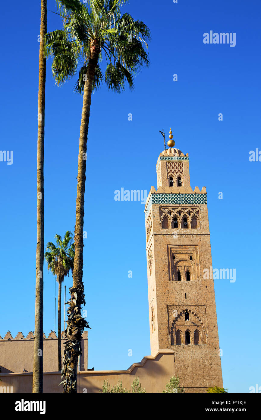 history in maroc africa palm Stock Photo - Alamy