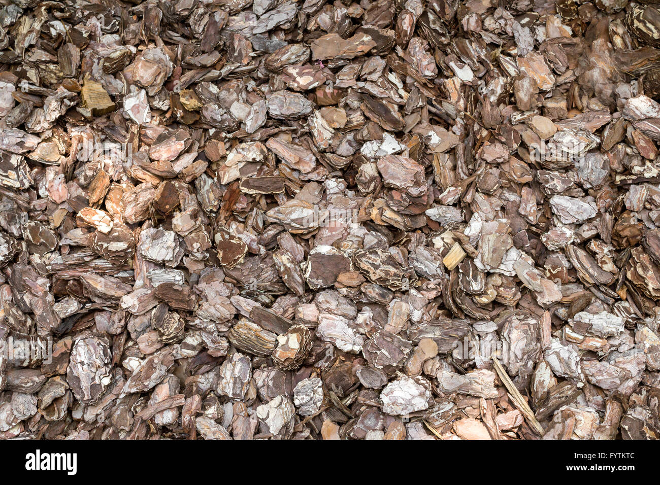 Flakes of bark Stock Photo - Alamy