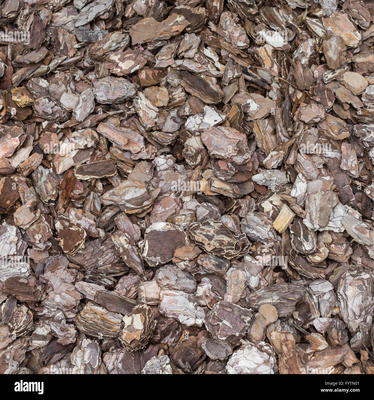 Flakes of bark Stock Photo - Alamy