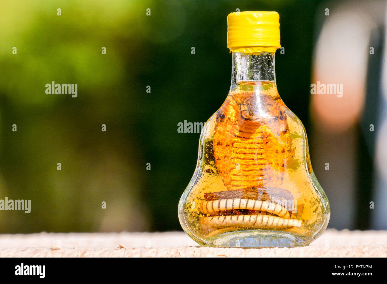 Snake liquor hi-res stock photography and images - Alamy