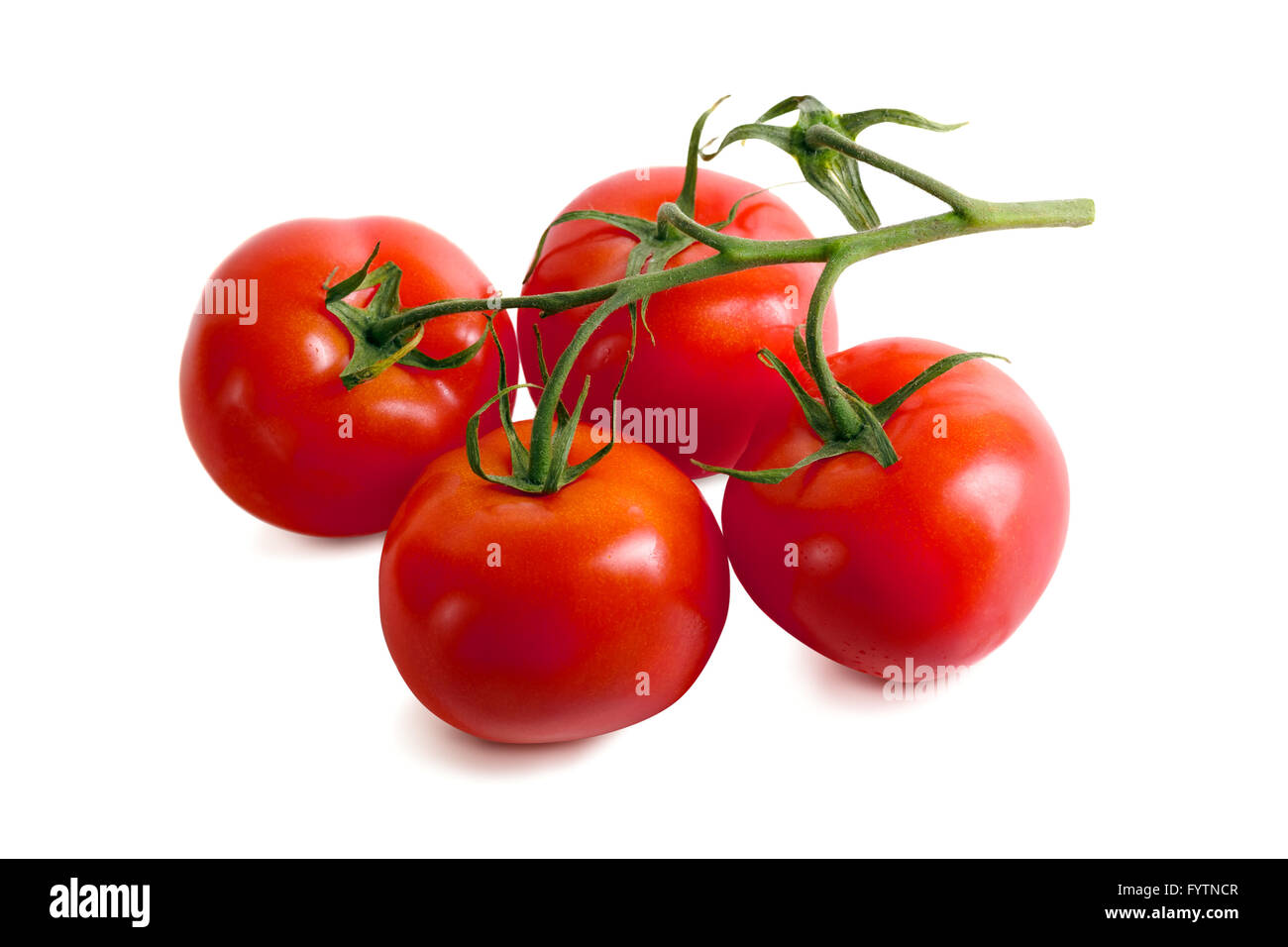 Tasty tomatoes hi-res stock photography and images - Alamy