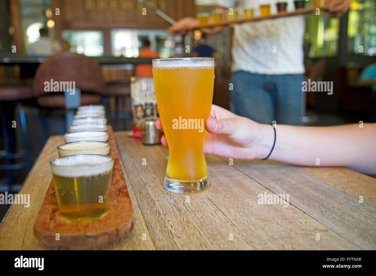 Tasting paddle at the Townsville Brewing Company Stock Photo - Alamy