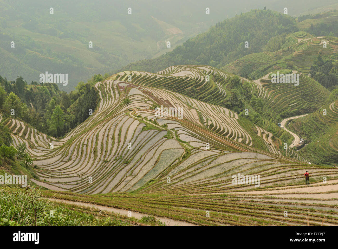 The stunning rice terraces of Ping'an in Longji, Guangxi Autonomous ...