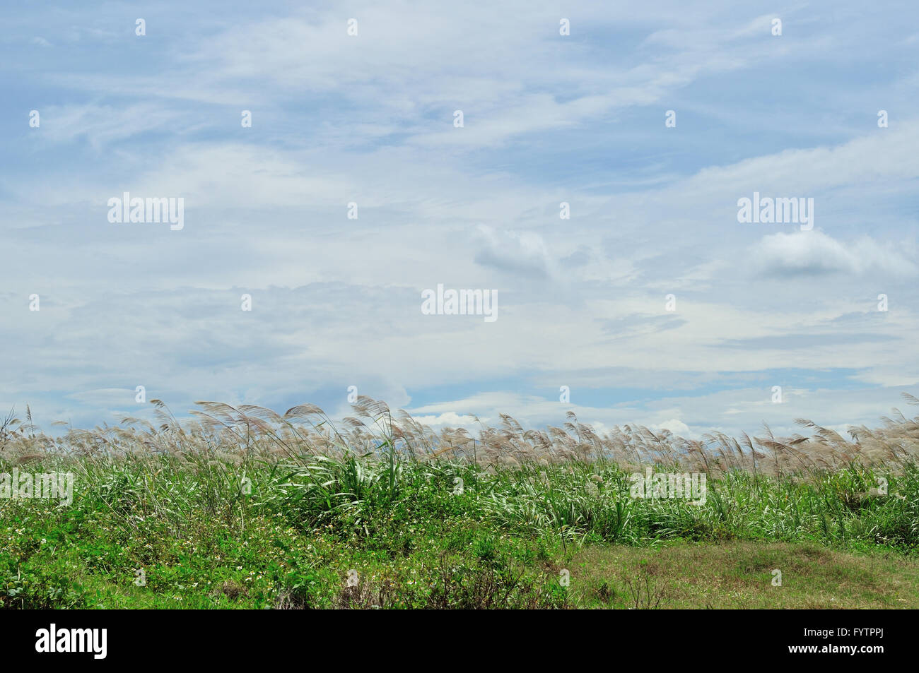 weather view peace Stock Photo - Alamy