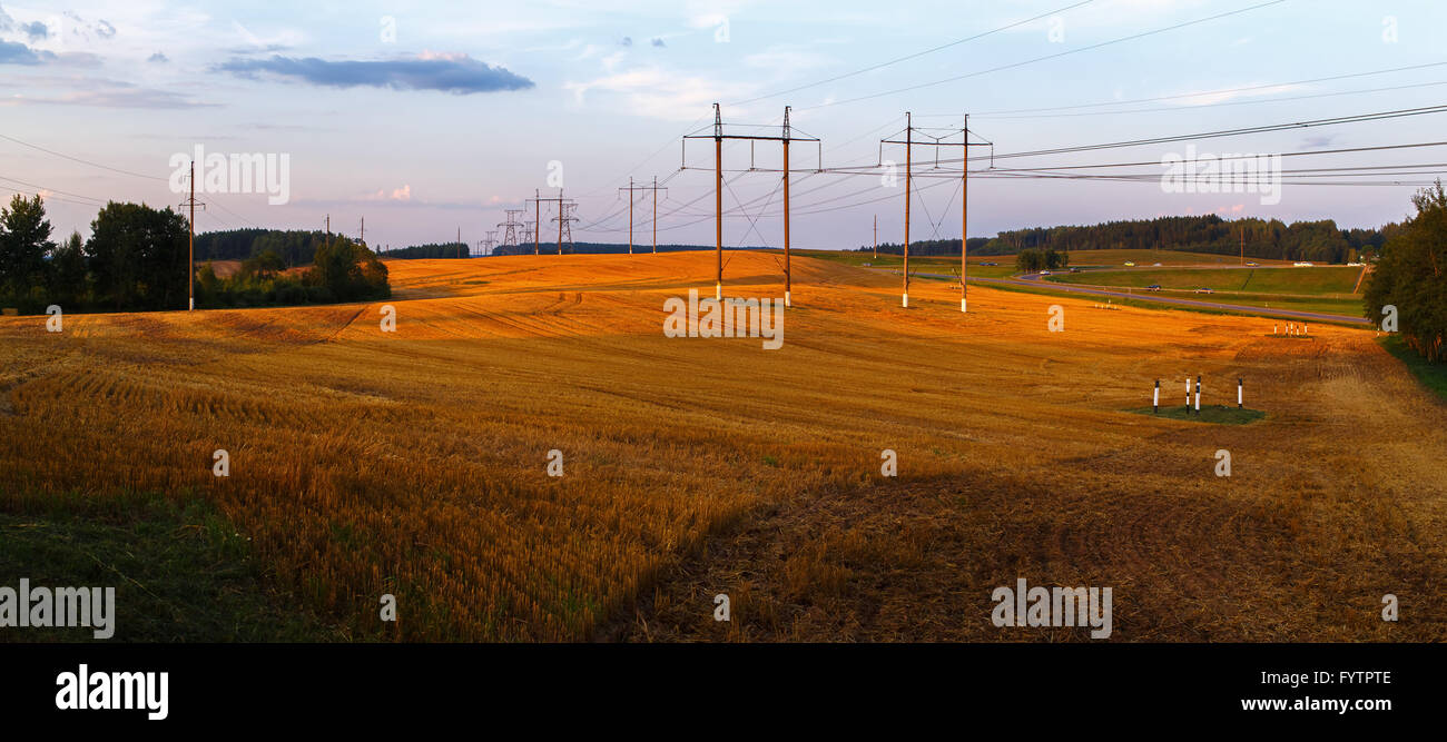 Golden wheat field after harvest hi-res stock photography and images ...