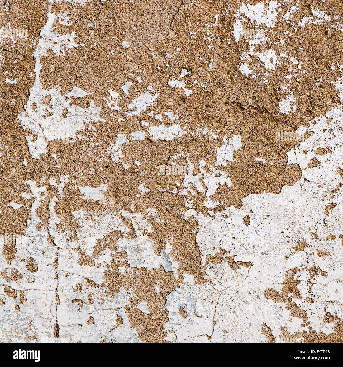 Natural plaster wall surface for texture or backgrounds. White hause wall with cracks Stock ...
