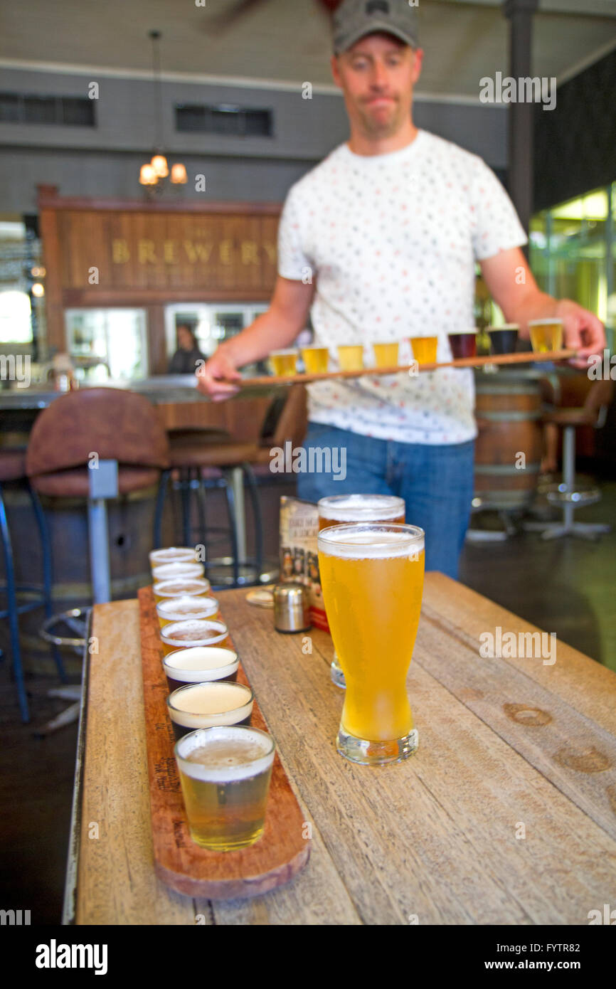 Tasting paddle at the Townsville Brewing Company Stock Photo - Alamy