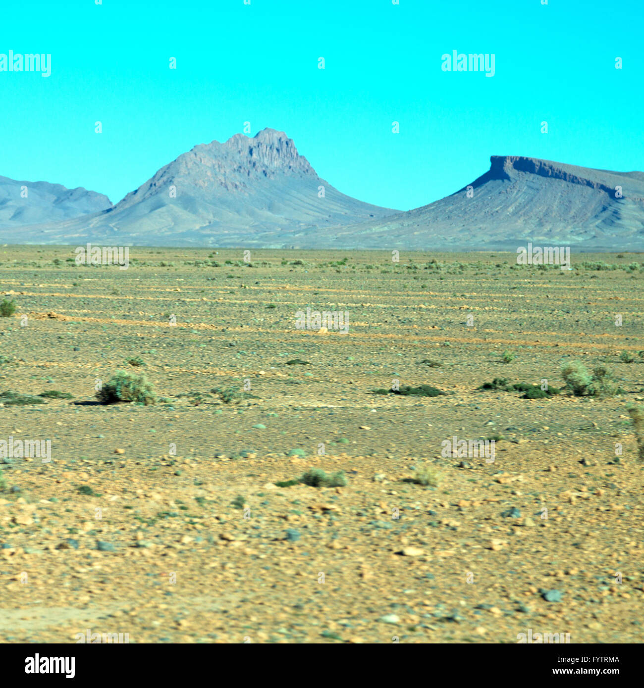 bush in valley morocco africa the atlas dry mountain Stock Photo - Alamy