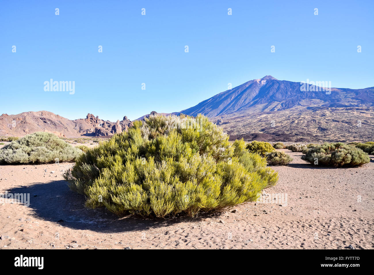 Desert Landscape in Volcan Teide National Park Stock Photo - Alamy