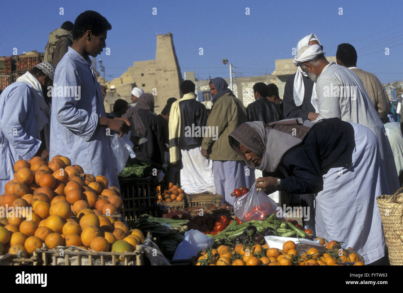 Siwa oasis people hi-res stock photography and images - Alamy