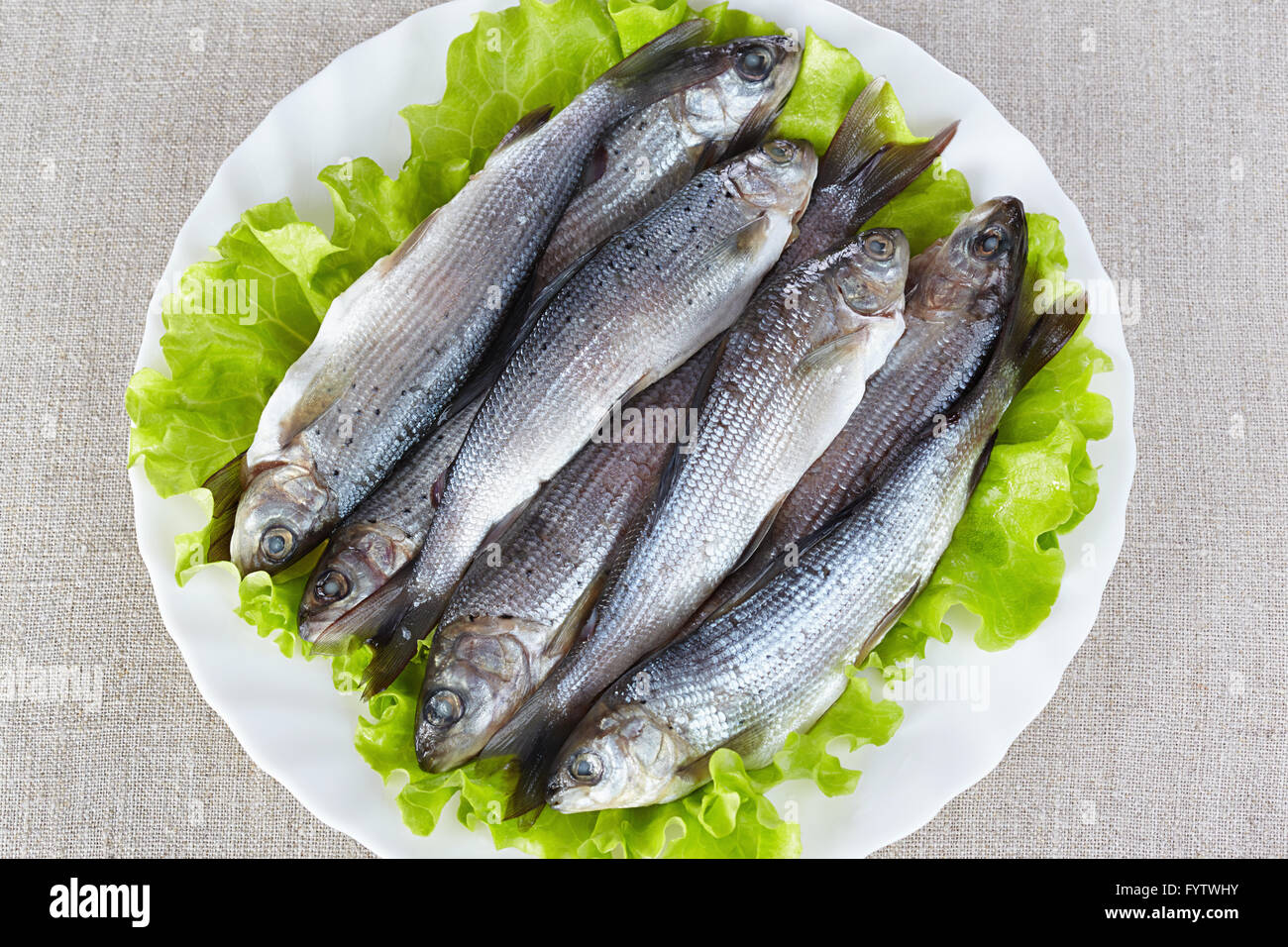Grayling fish hi-res stock photography and images - Alamy