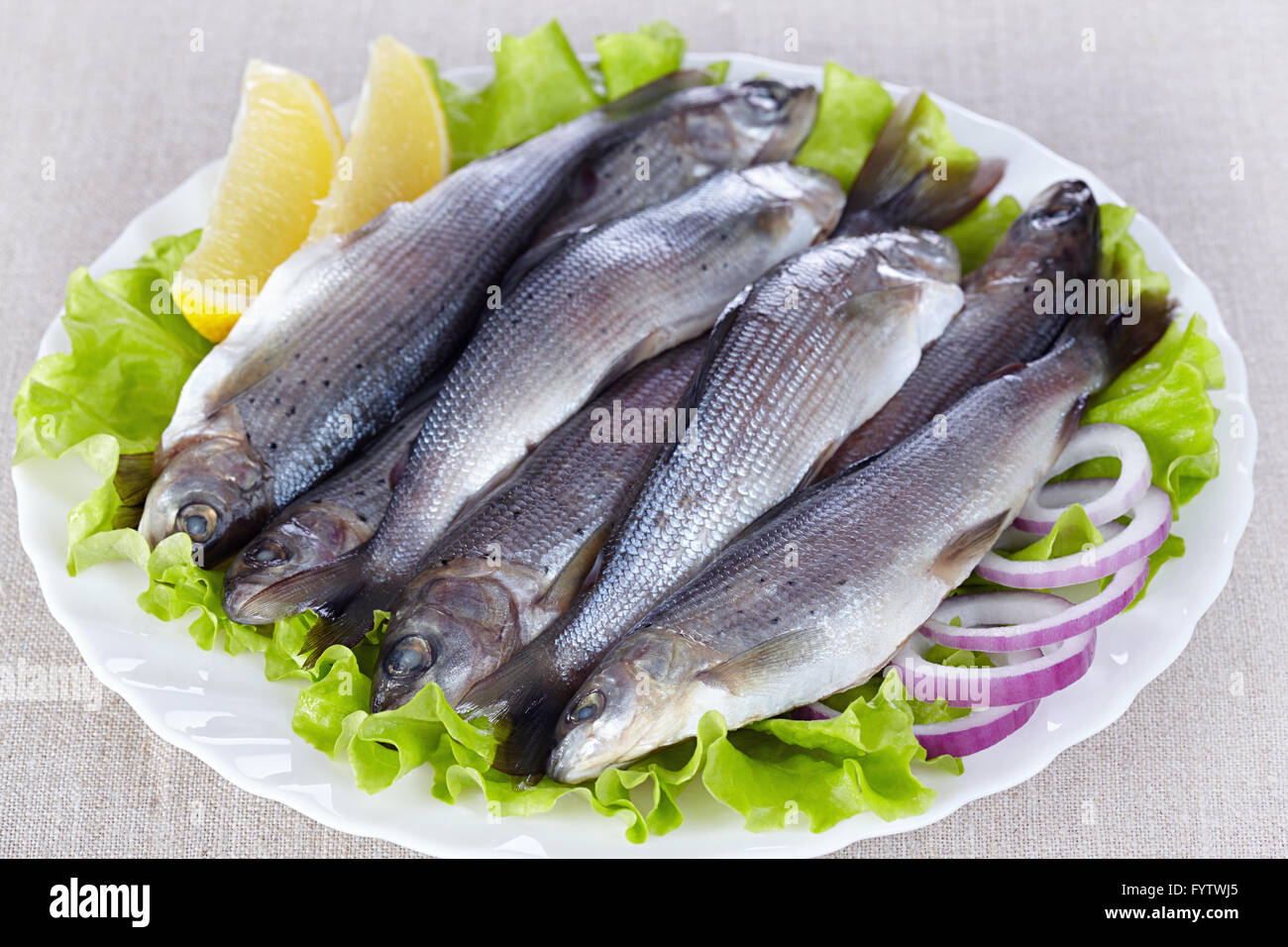 Siberian grayling hi-res stock photography and images - Alamy