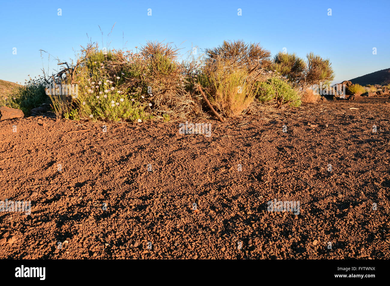 Cloudy desert hi-res stock photography and images - Alamy