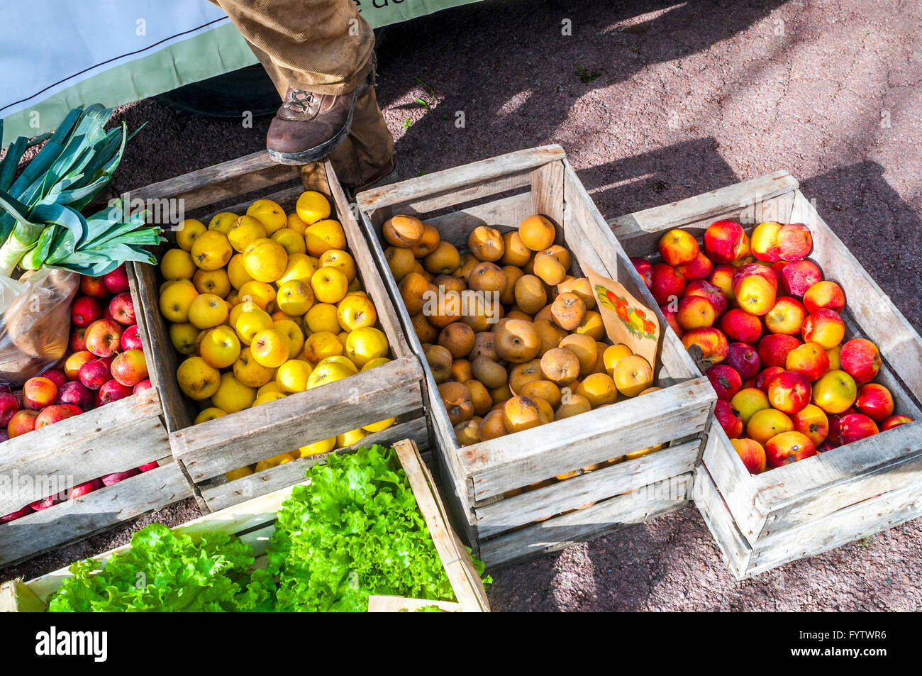Roadside “bio” / organic food stall - France Stock Photo - Alamy