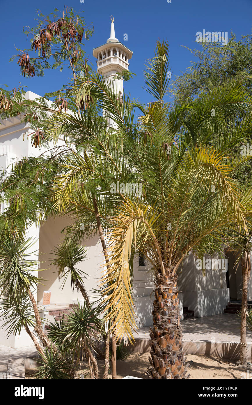 Buildings and palm trees in the Sikka area, the oldest area, of Dubai ...