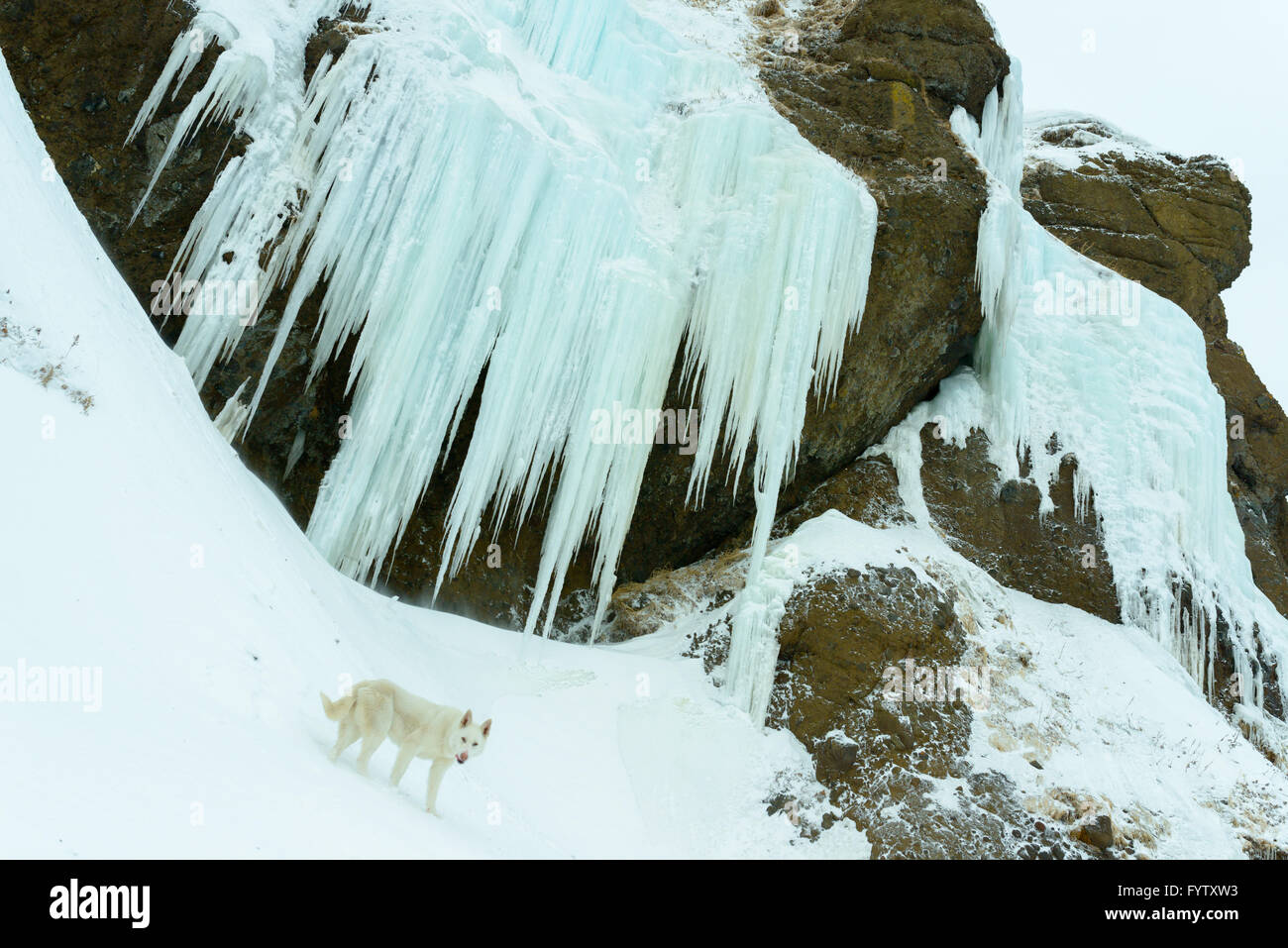 Ice fall, Sakhalin Island, Russia Stock Photo - Alamy