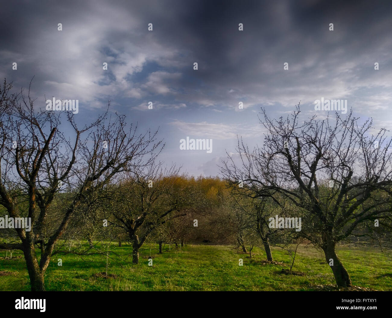 Scary tuscany hi-res stock photography and images - Alamy