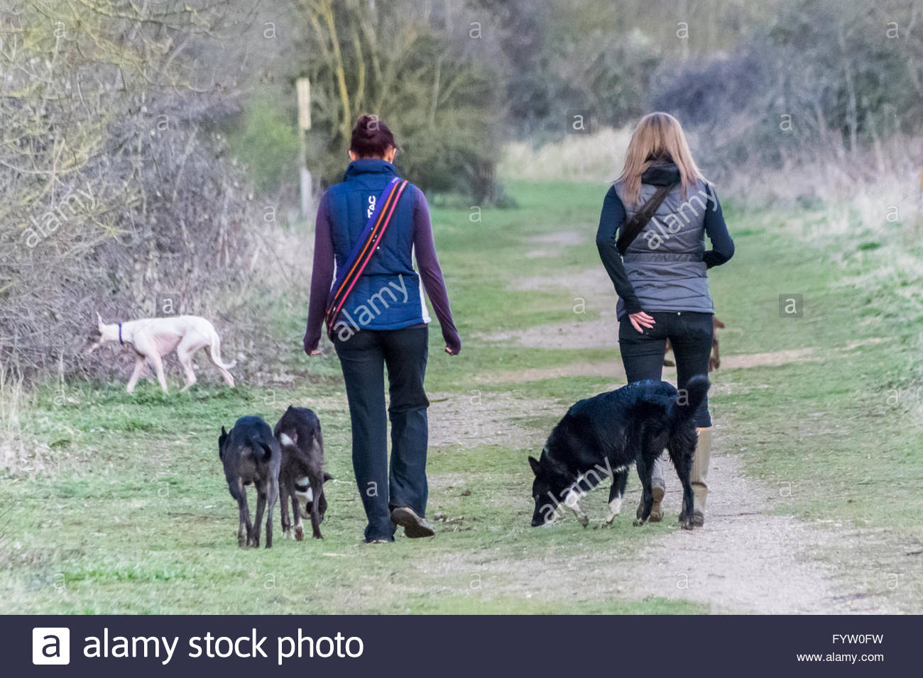 Women With Dogs High Resolution Stock Photography and Images - Alamy