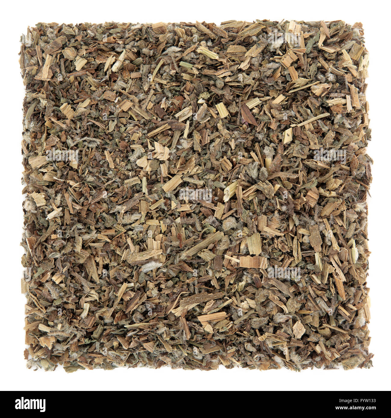 Borage leaf herb used in natural alternative herbal medicine over white ...