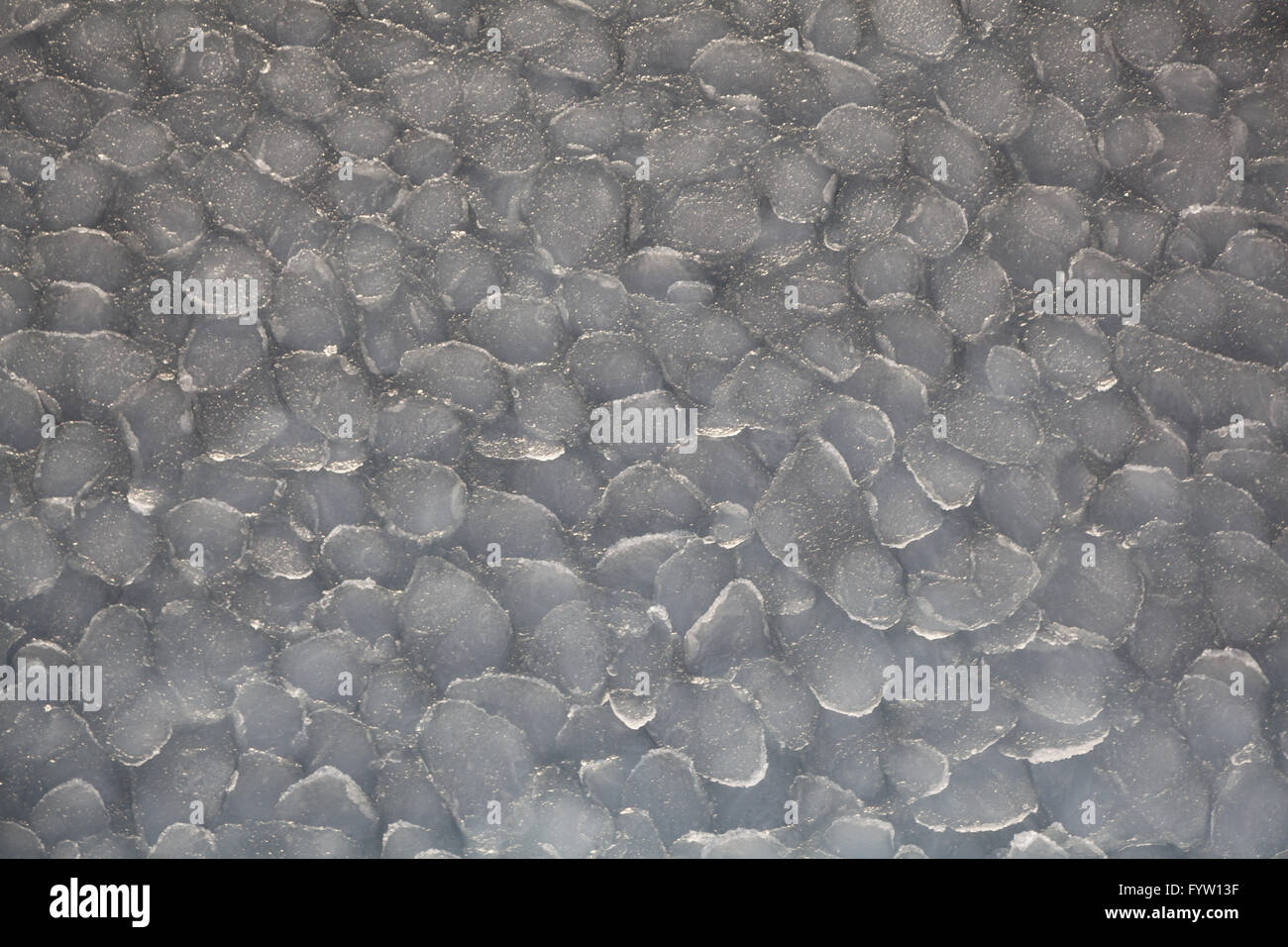 Pancake ice - the initial stage of the formation of ice Stock Photo - Alamy