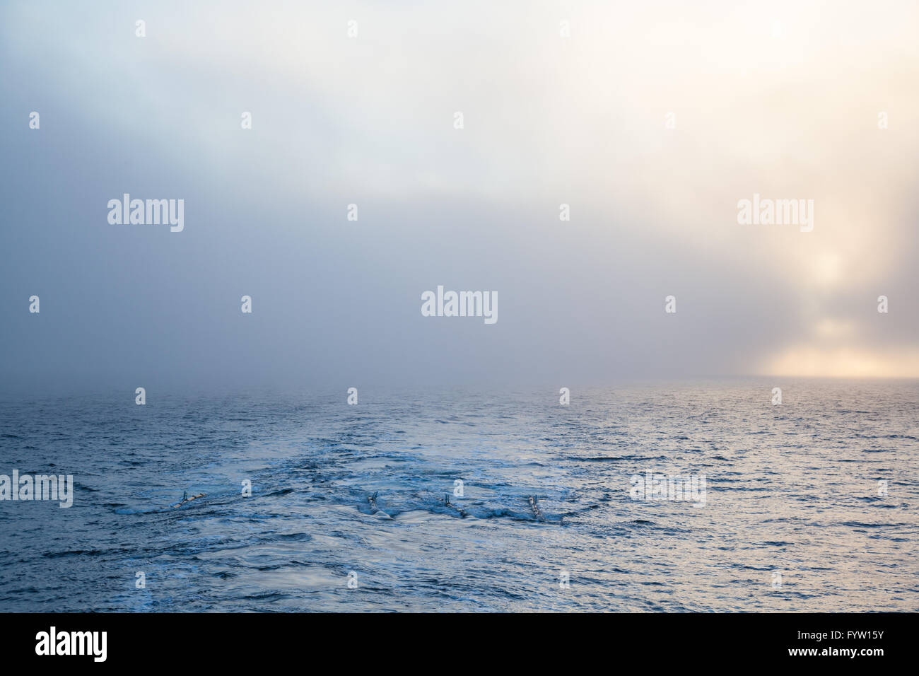 Seismic air gun hi-res stock photography and images - Alamy