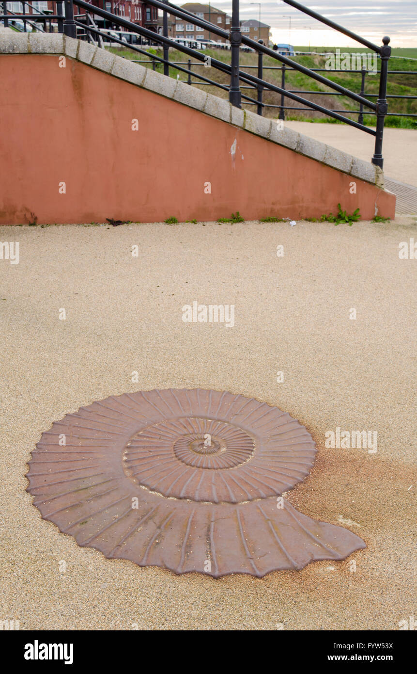 Fossil Artwork High Resolution Stock Photography and Images - Alamy