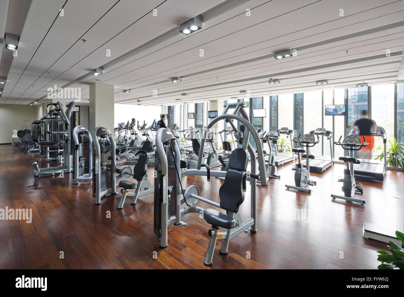Muscular apparatus hi-res stock photography and images - Alamy