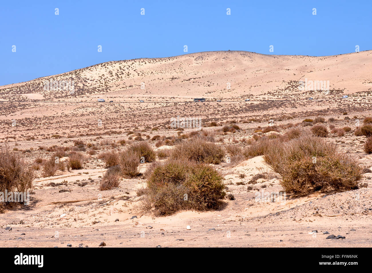 Dry Desert Landscape Stock Photo - Alamy