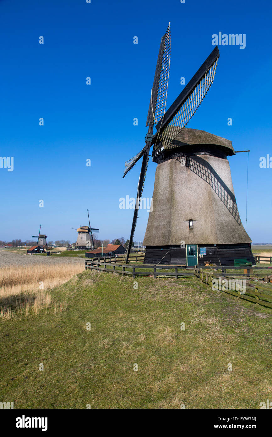 Polder schermer hi-res stock photography and images - Alamy