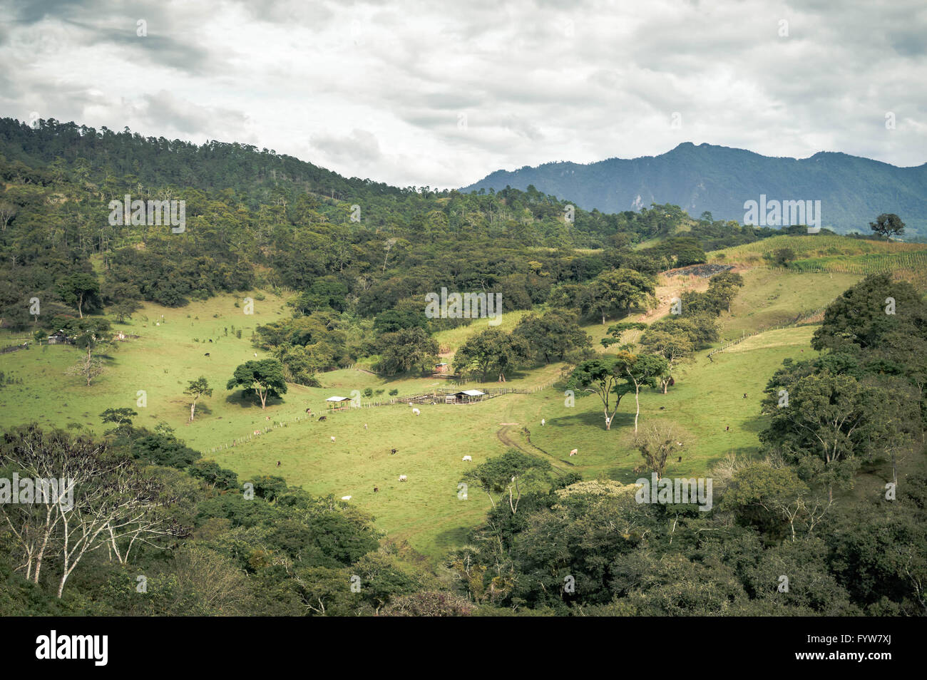 Pastoral landscapes of farms, fields and mountains of Chiapas, Mexico ...