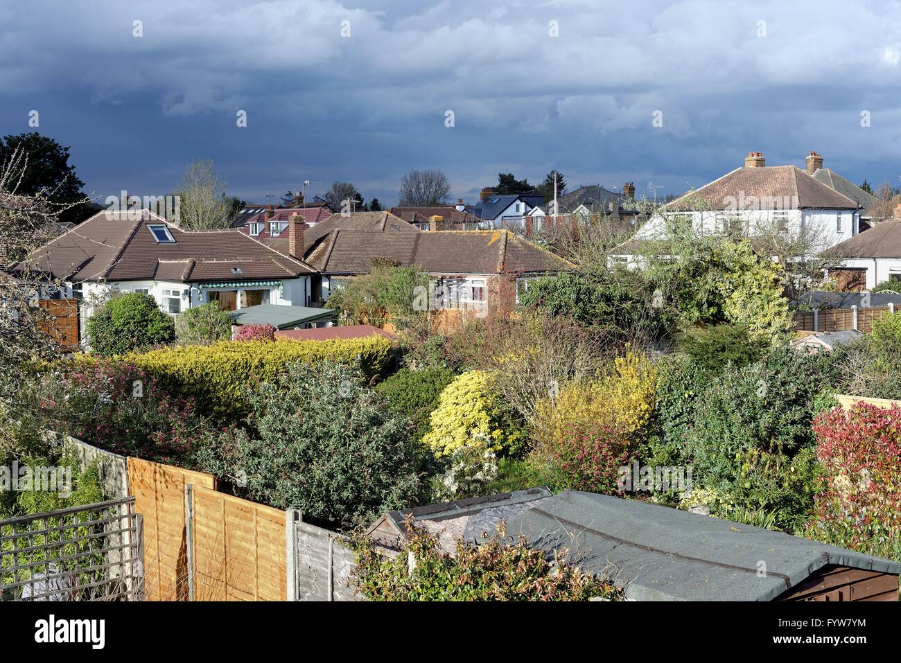 Elevated view of houses and back gardens in Shepperton Surrey UK Stock ...