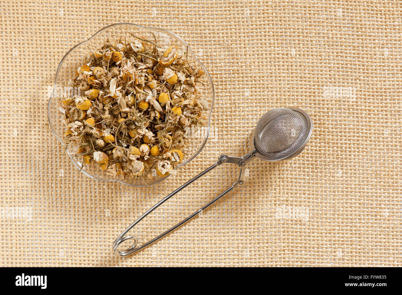 Chamomile flower matricaria chamomilla hi-res stock photography and ...