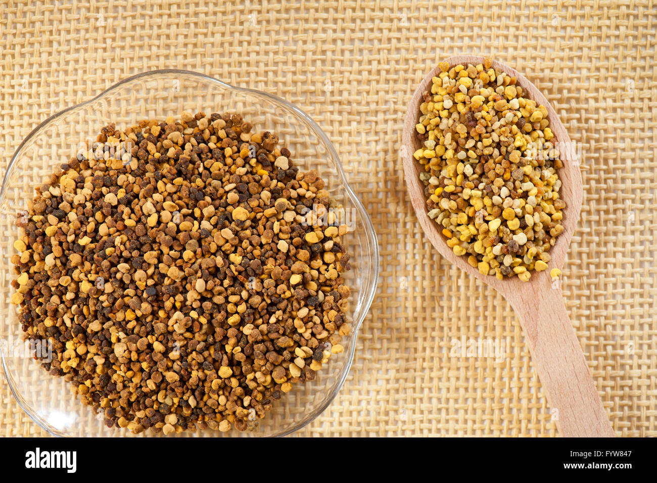 Bad and good pollen grains comparison, portion of fresh bright good ...