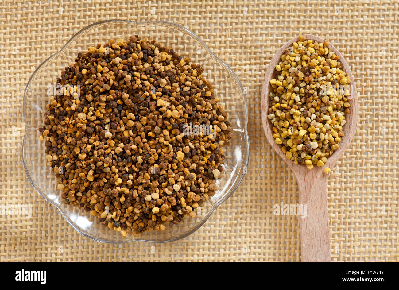 Plants pollen grains comparison, portion of fresh bright good pollen ...