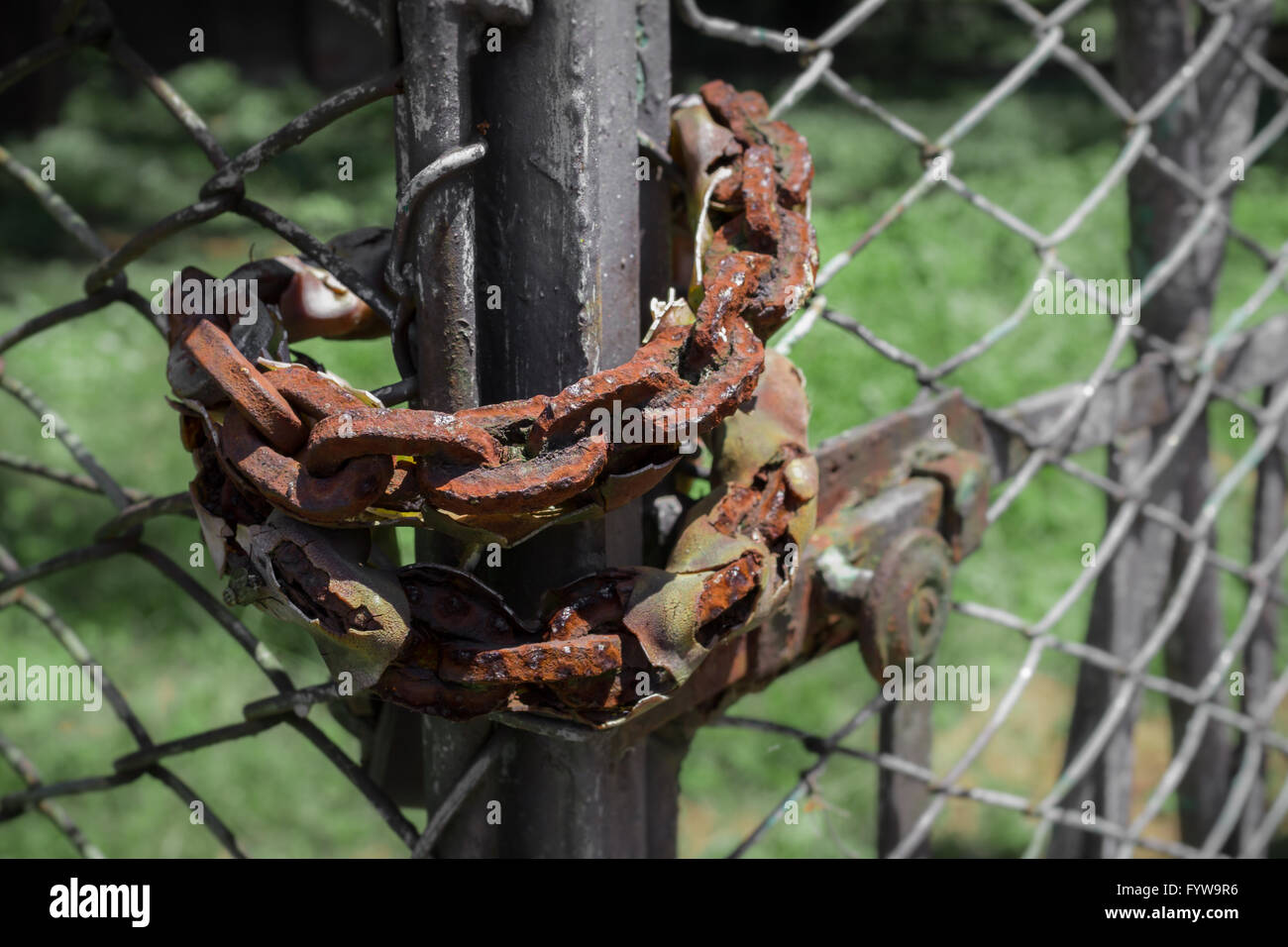 Cage rusty hi-res stock photography and images - Alamy