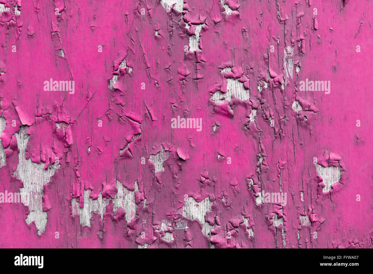 Pink peeling paint Stock Photo - Alamy