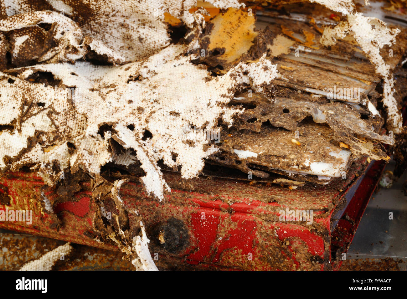 damaged fabric bags eaten by termite Stock Photo - Alamy