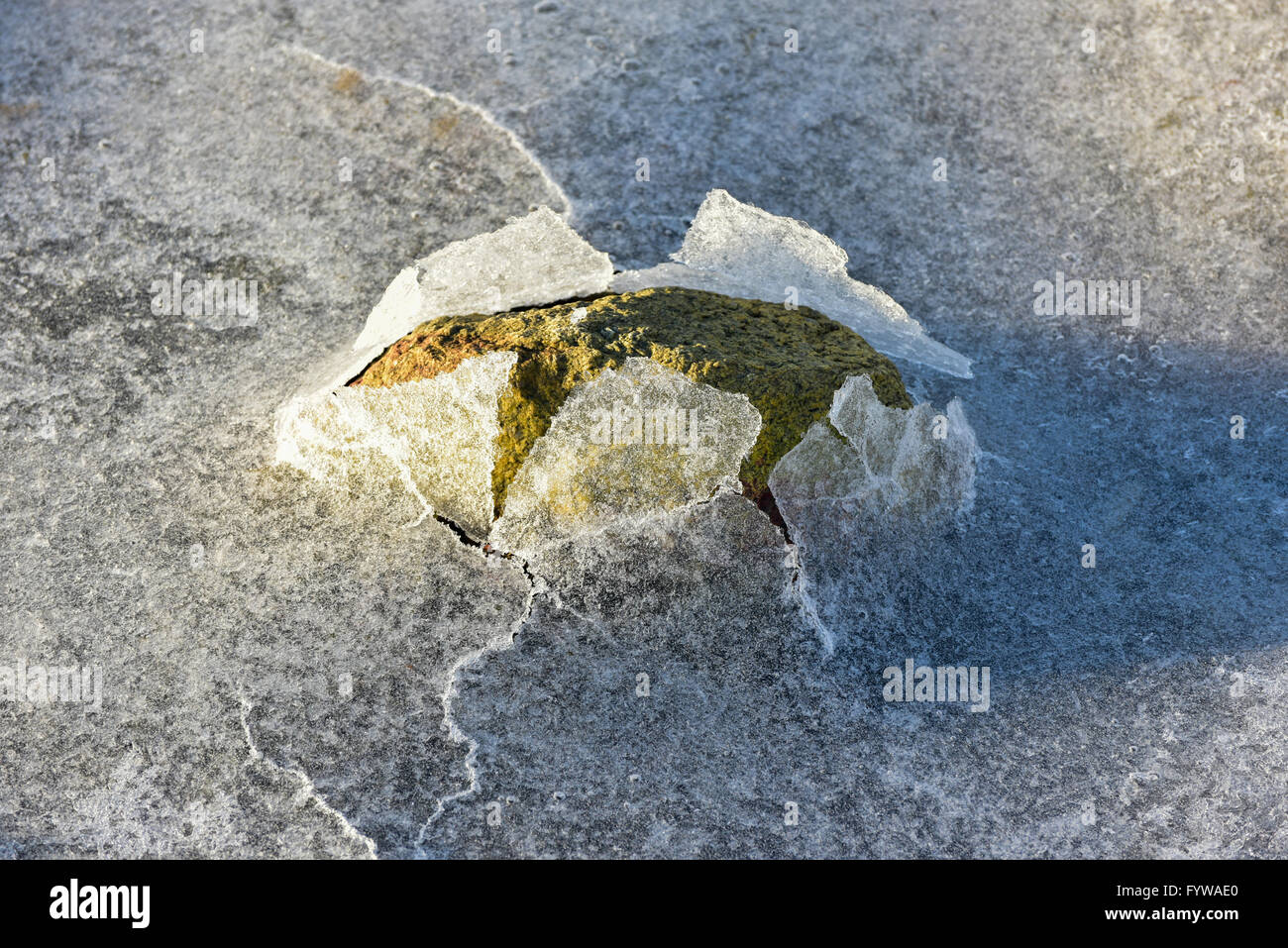 Rock cracking through the ice in Boosen in the Lofoten Islands, Norway ...